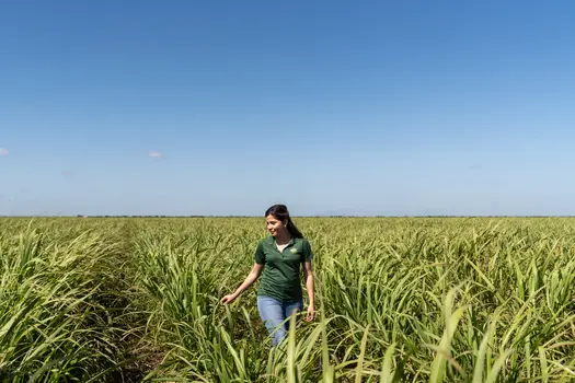 Our Story | Florida Crystals