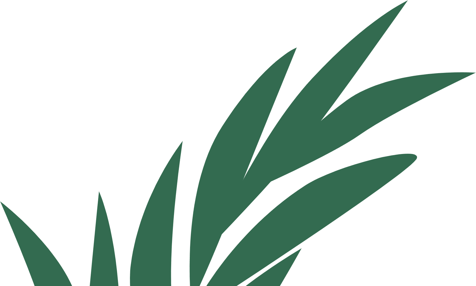 Home Page | Florida Crystals